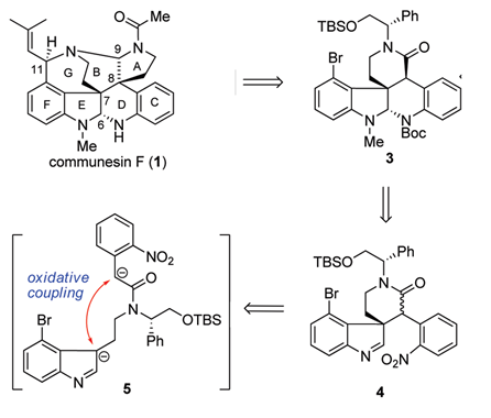 Self-Assembled “the intramolecular enolate oxidative couplingreaction ...