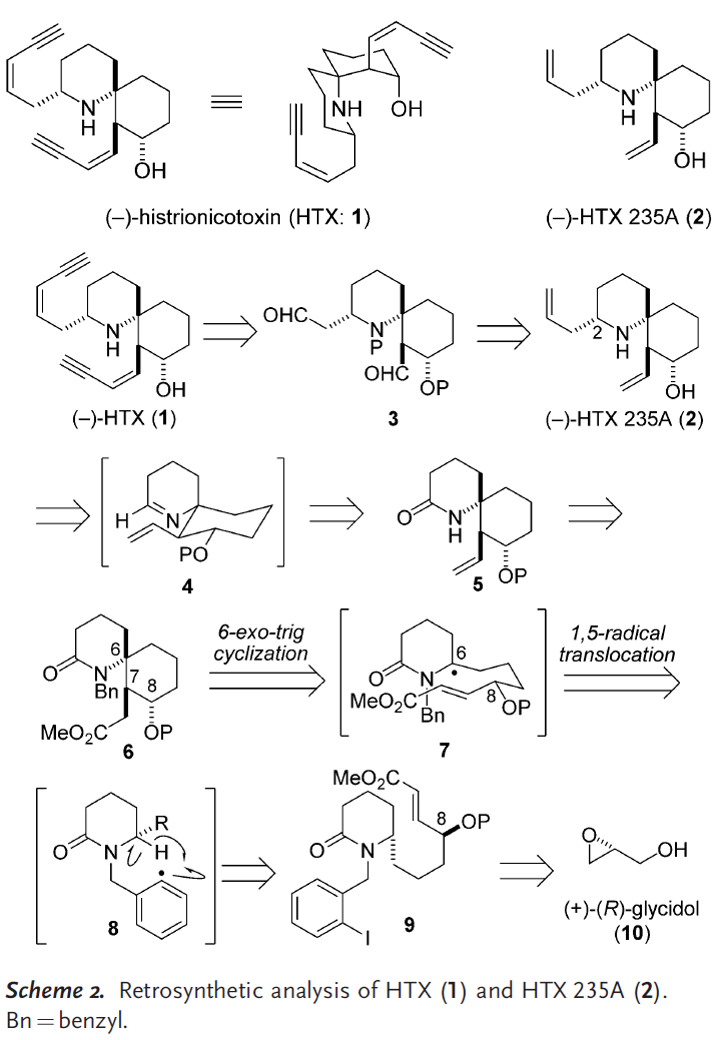 Total Synthesis of (−)‐Histrionicotoxin through a Stereoselective ...